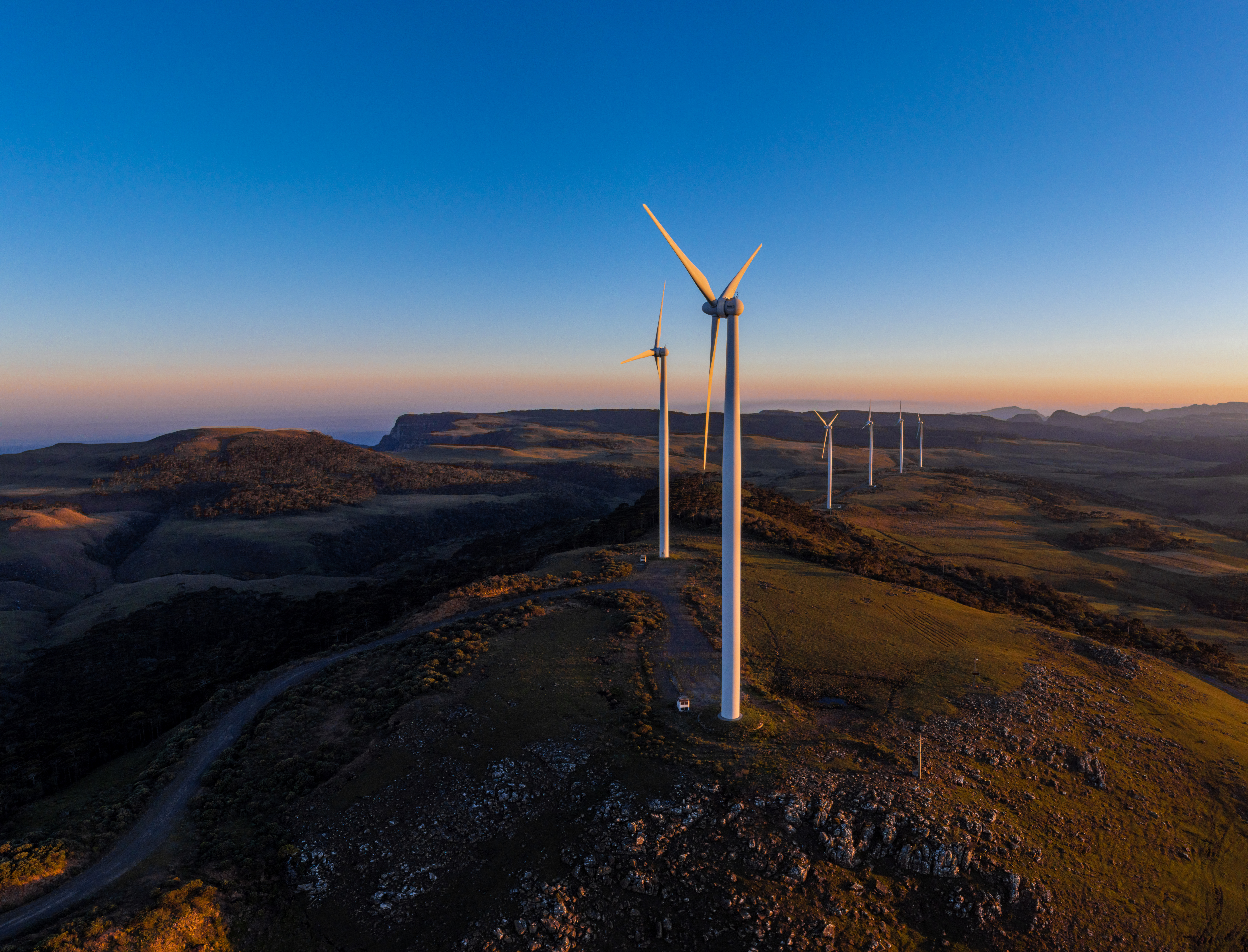 Navigating Grid Curtailment and Investment Strategies